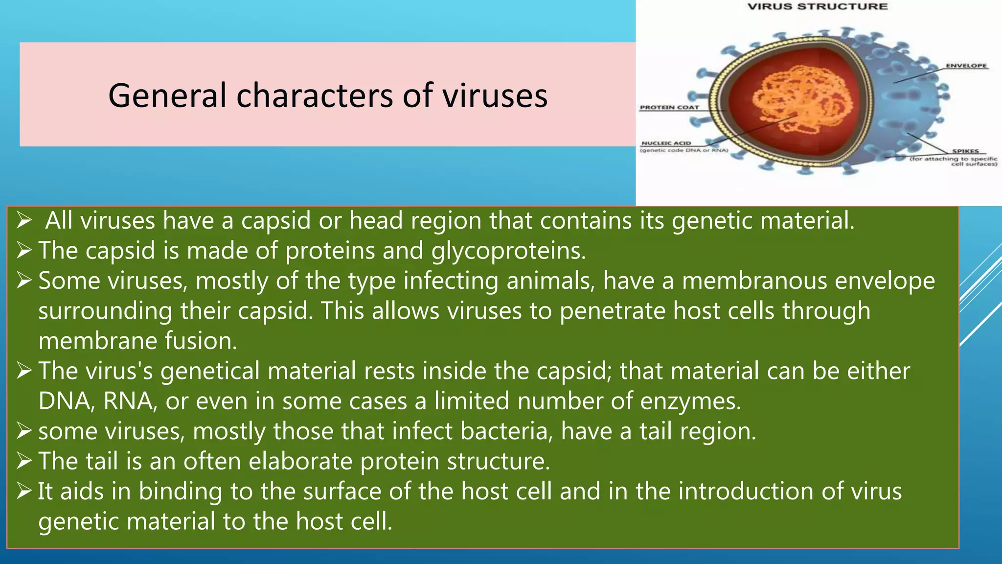 Viruses : characteristics, structure, reproduction , transmission and ...