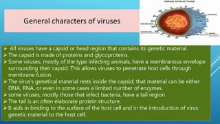 Viruses : characteristics, structure, reproduction , transmission and ...
