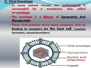 Virus- | PPTX | Biological Sciences | Science