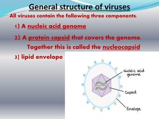 Virus- | PPTX | Biological Sciences | Science