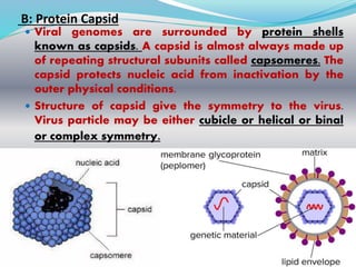 Virus- | PPTX | Biological Sciences | Science