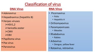 AntiViral drug | PPTX