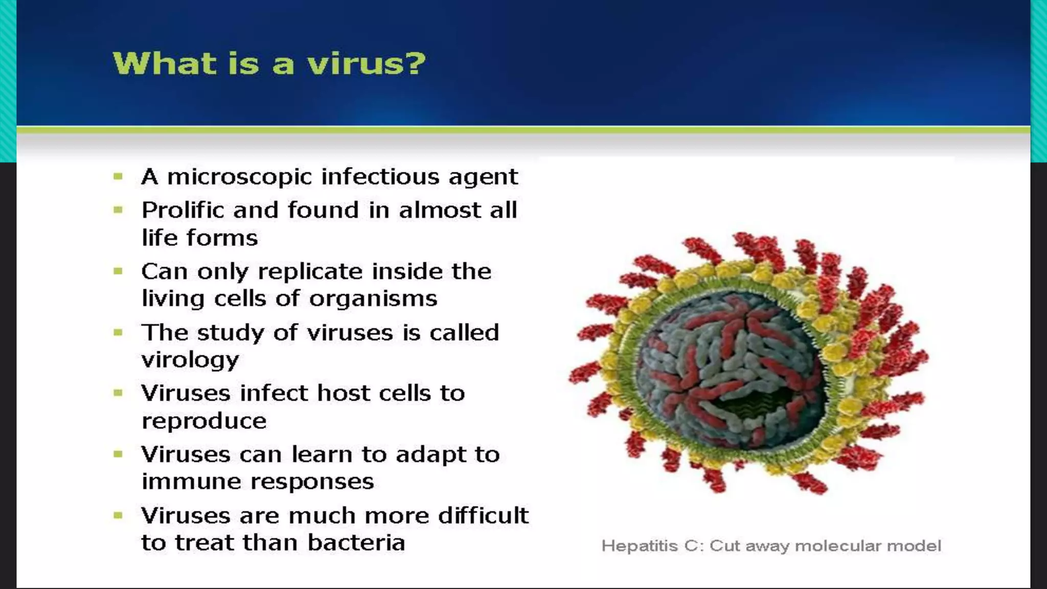 Virus Pptx