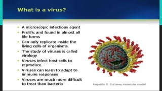 VIRUS.pptx