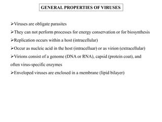virus.pptx