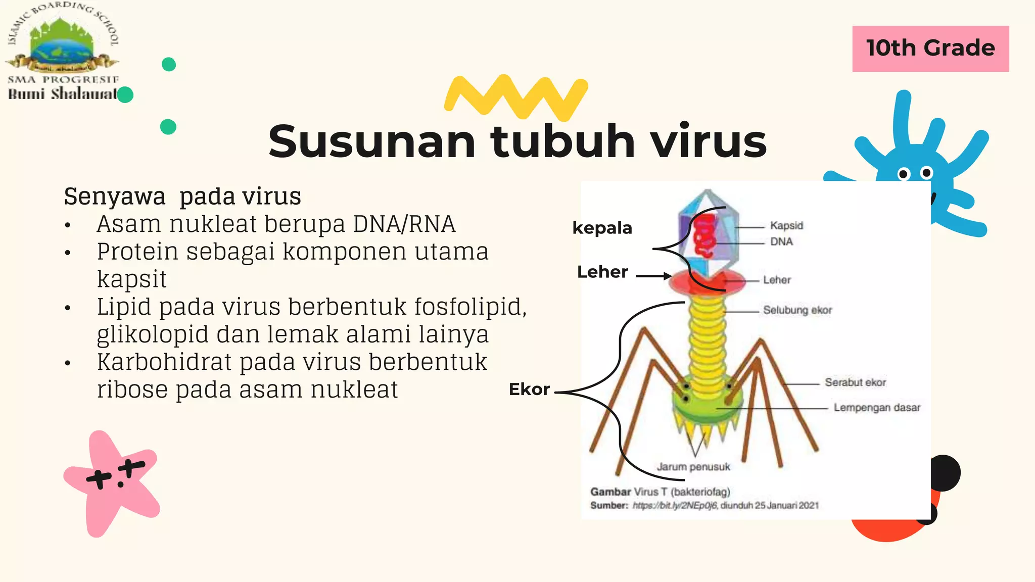 virus.pptx