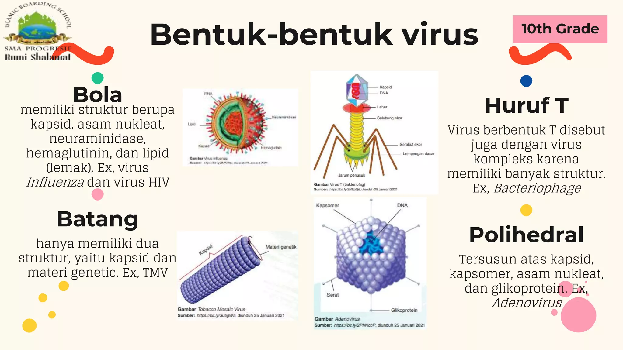 virus.pptx
