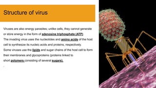 Virus ..pptx