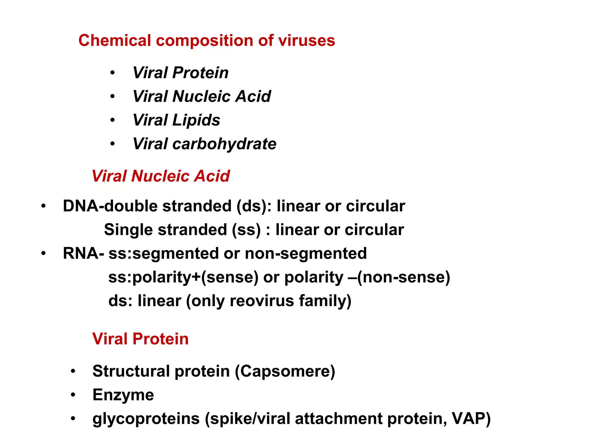 Virus.ppt