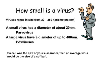 Virus.ppt