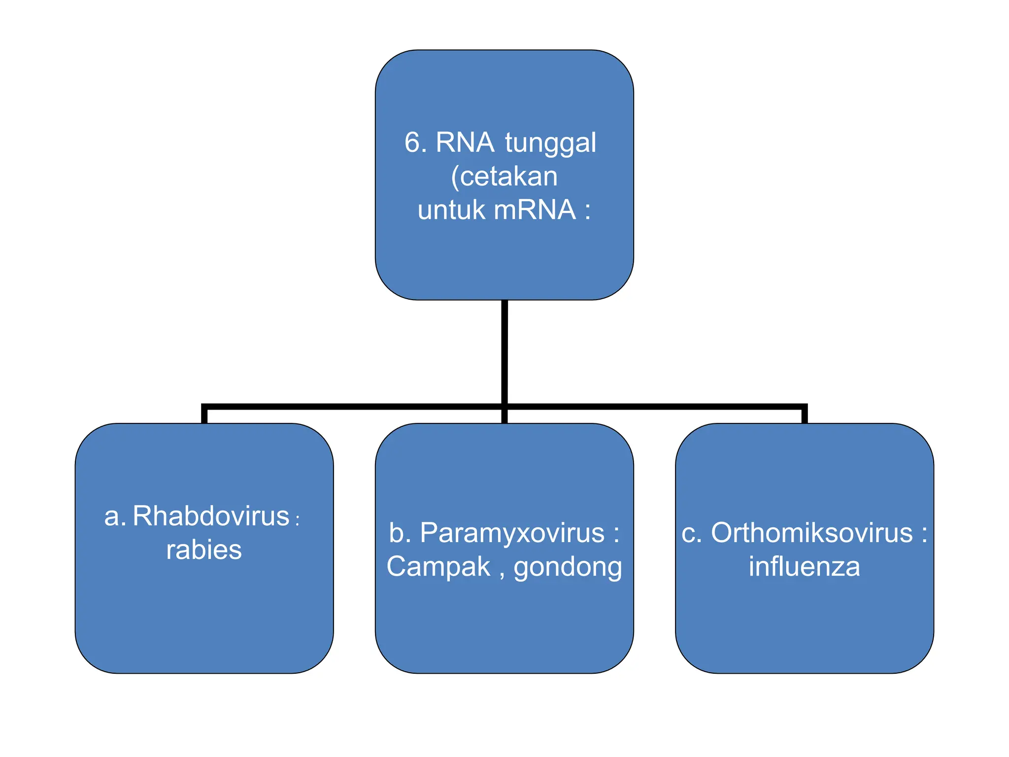 VIRUS.ppt Karakteristik/ ciri-ciri hidup Virs dan cara ...