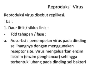 VIRUS.ppt Karakteristik/ ciri-ciri hidup Virs dan cara ...