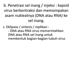 VIRUS.ppt Karakteristik/ ciri-ciri hidup Virs dan cara ...