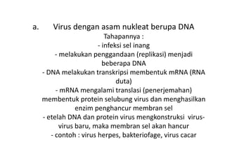 VIRUS.ppt Karakteristik/ ciri-ciri hidup Virs dan cara ...