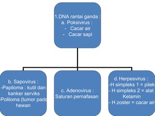 VIRUS.ppt Karakteristik/ ciri-ciri hidup Virs dan cara ...