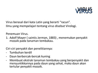 VIRUS.ppt Karakteristik/ ciri-ciri hidup Virs dan cara ...