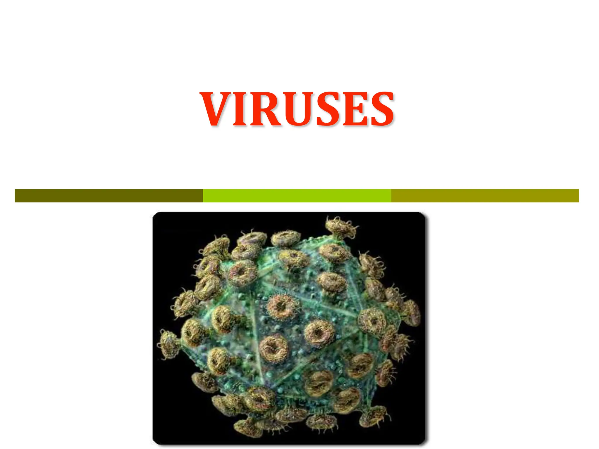 structure and general properties of virus.ppt