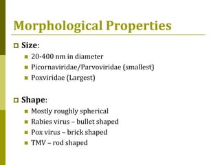 structure and general properties of virus.ppt
