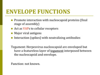 structure and general properties of virus.ppt