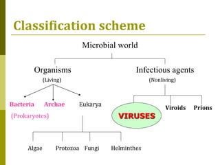 structure and general properties of virus.ppt