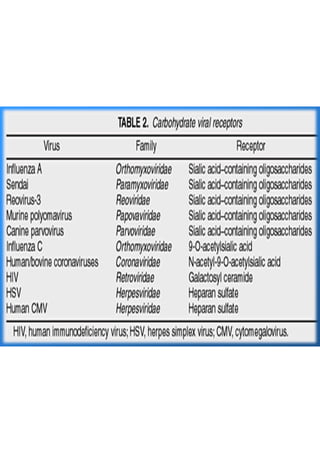 virus pharmaceutical microbiology .pdf.. | PDF