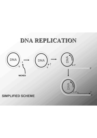 virus pharmaceutical microbiology .pdf.. | PDF