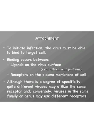 virus pharmaceutical microbiology .pdf.. | PDF