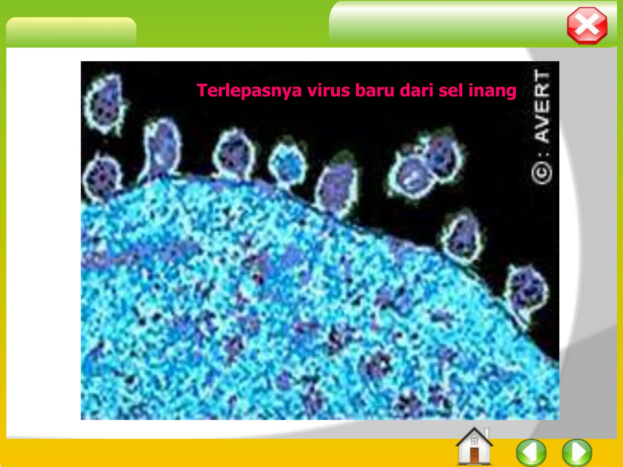 VIRUS.pptxVIRUS.pptx VIRUS.pptx VIRUS.pptx