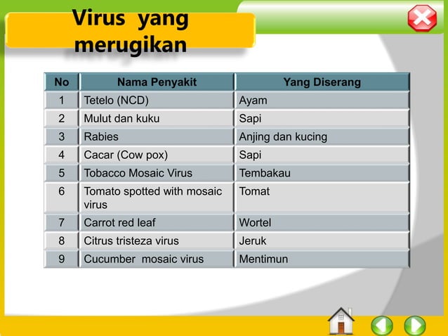 VIRUS.pptxVIRUS.pptx VIRUS.pptx VIRUS.pptx