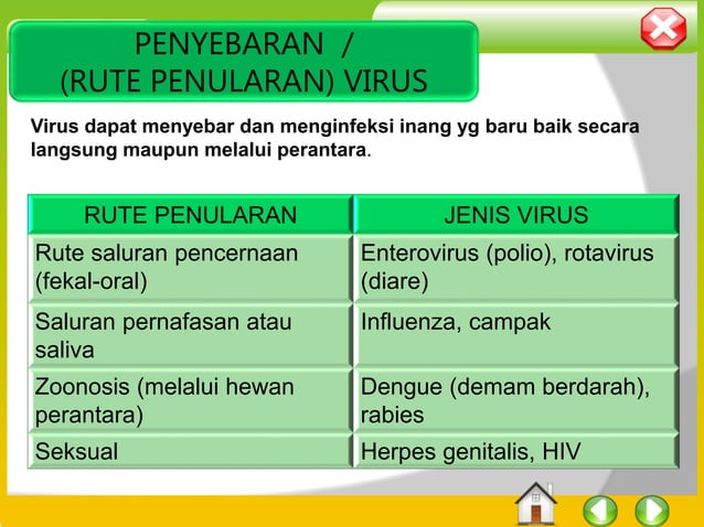VIRUS.pptxVIRUS.pptx VIRUS.pptx VIRUS.pptx