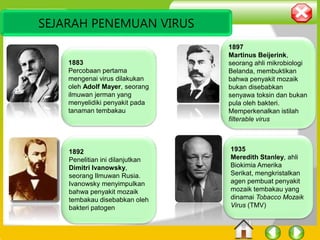 VIRUS.pptxVIRUS.pptx VIRUS.pptx VIRUS.pptx