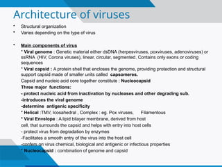 microbiology - Virus introduction, reproduction | PPT