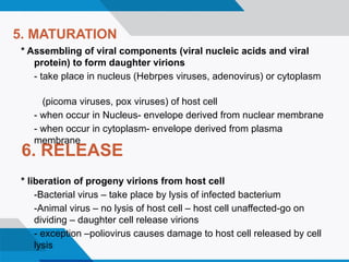 microbiology - Virus introduction, reproduction | PPT