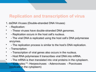 microbiology - Virus introduction, reproduction | PPT