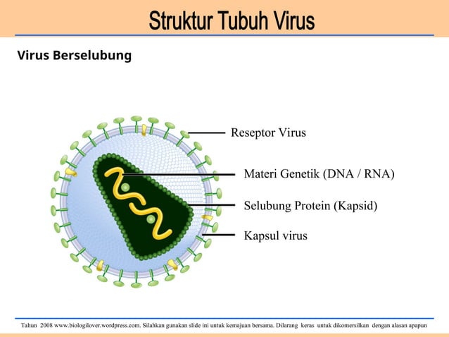 materi virus untuk kelas x kurikulum.ppt
