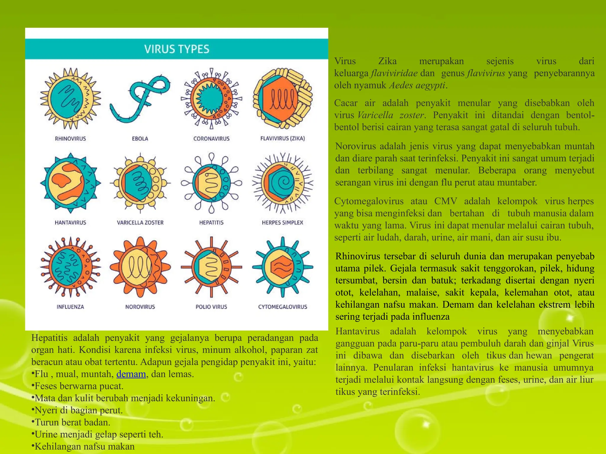 PPT Virus kelas 10 bab 2 kurikulum merdeka | PPTX