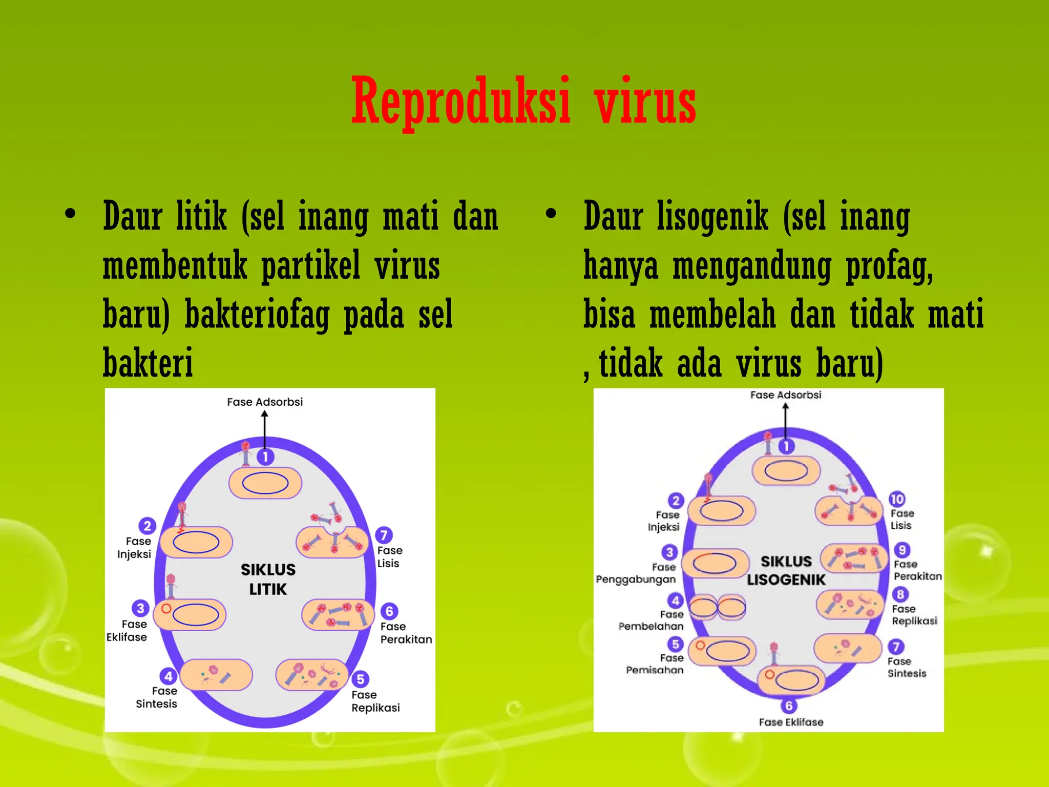 PPT Virus kelas 10 bab 2 kurikulum merdeka | PPTX