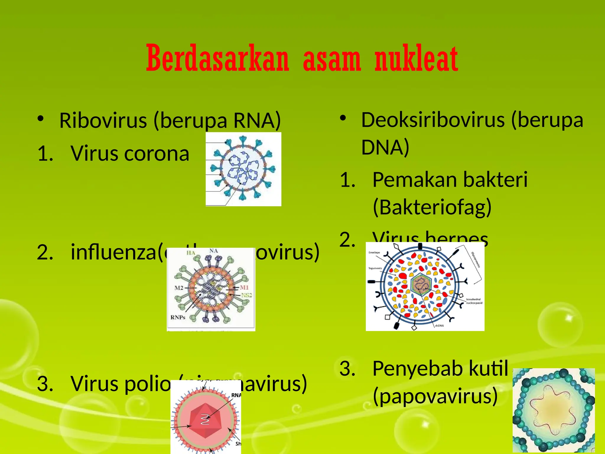 PPT Virus kelas 10 bab 2 kurikulum merdeka | PPTX