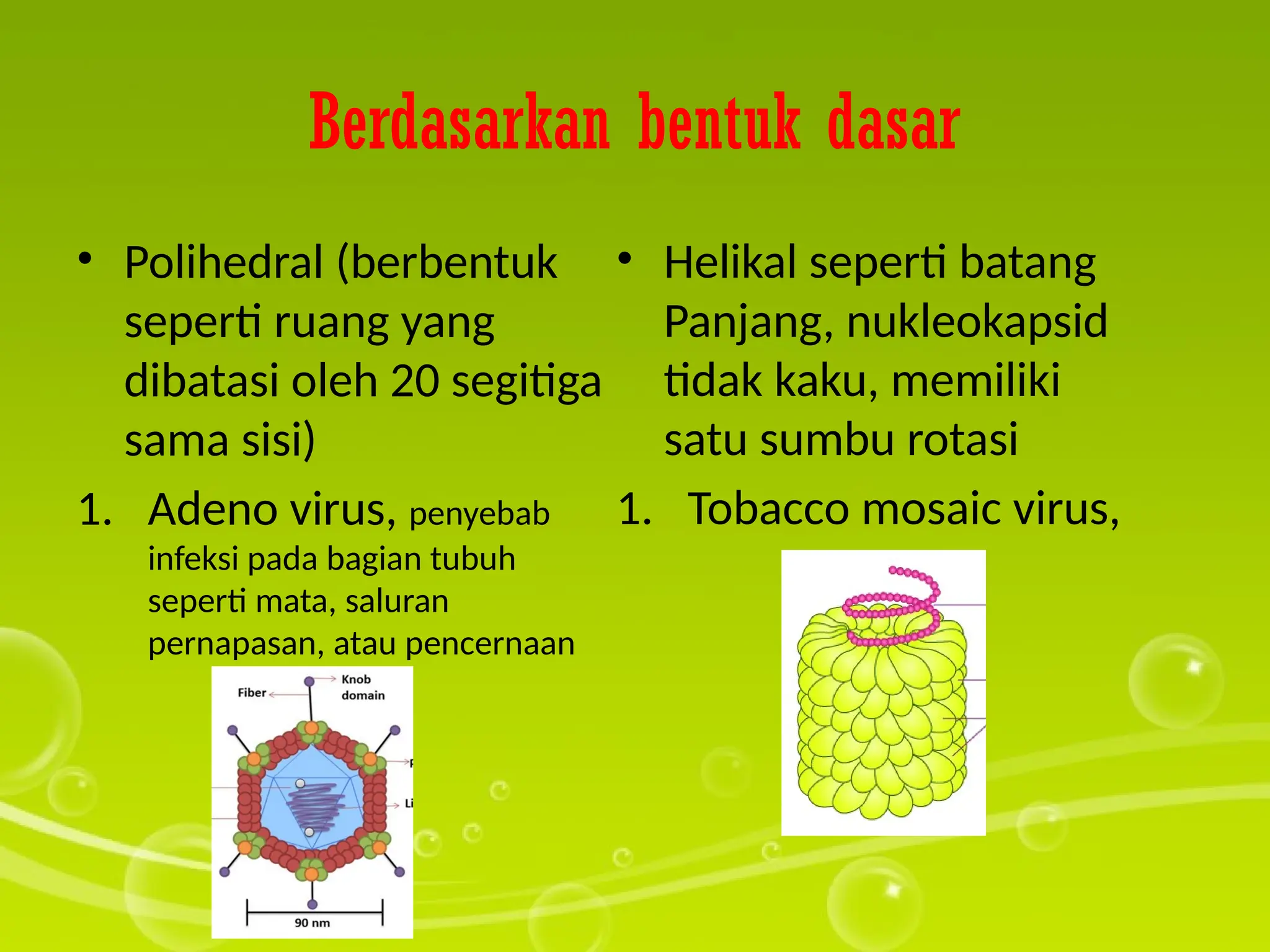 PPT Virus kelas 10 bab 2 kurikulum merdeka | PPTX