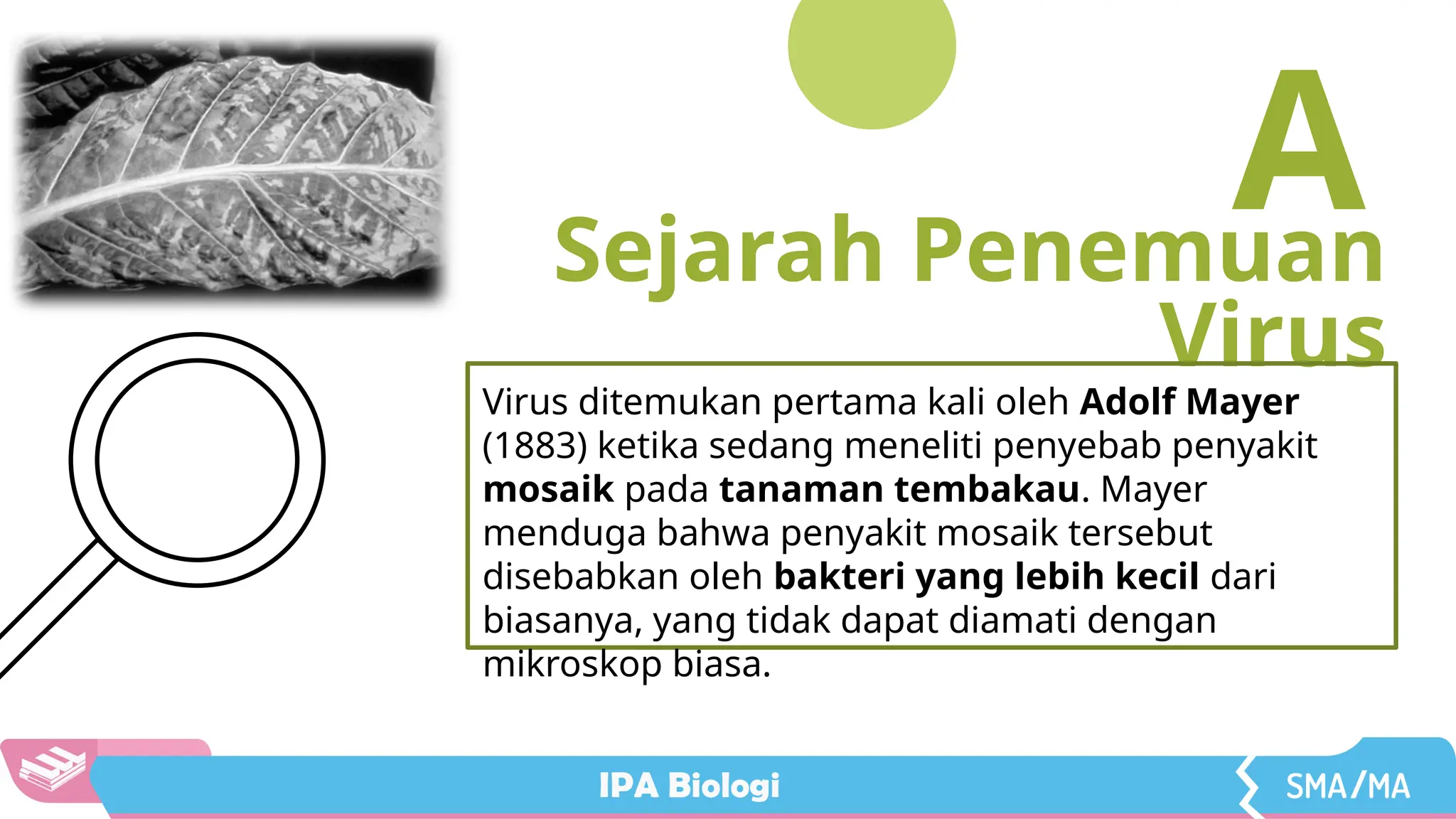 BAB 2 KELAS X KURIKULUM MERDEKA MATERI VIRUS | PPTX