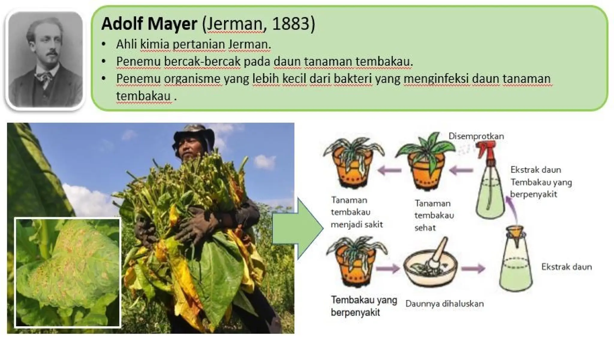 BAB 2 KELAS X KURIKULUM MERDEKA MATERI VIRUS | PPTX