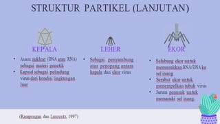 BAB 2 KELAS X KURIKULUM MERDEKA MATERI VIRUS | PPTX
