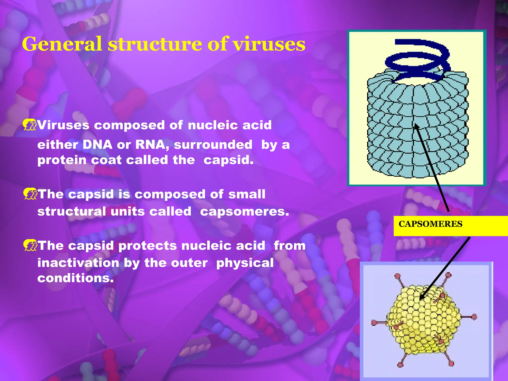 introduction to virus, virology, types, lytic and lysogenicpptx | PPT