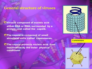 introduction to virus, virology, types, lytic and lysogenicpptx | PPT