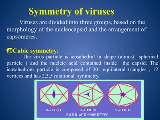 introduction to virus, virology, types, lytic and lysogenicpptx | PPT