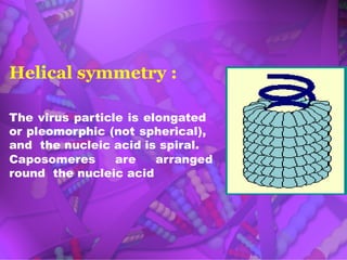 introduction to virus, virology, types, lytic and lysogenicpptx | PPT