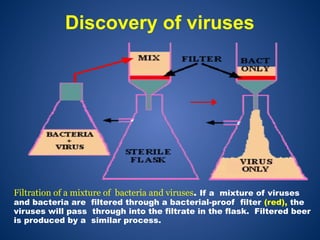introduction to virus, virology, types, lytic and lysogenicpptx | PPT