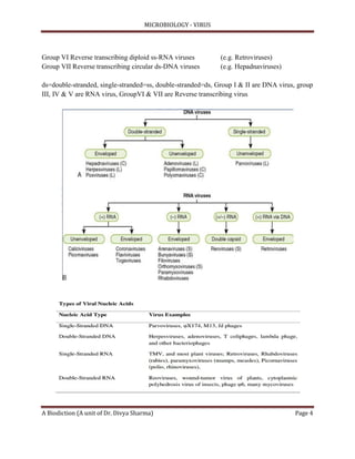 Virus - Classification , Replication of Virus , Viral Diseases ...
