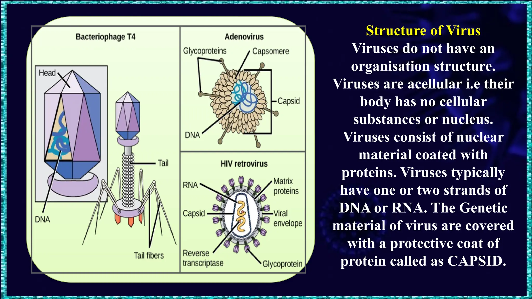 Microorganisms: Friend and Foe – VIRUS Chapter-2 Class 8- CBSE | PPTX
