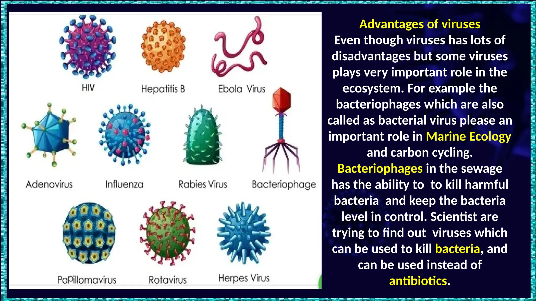 Microorganisms: Friend and Foe – VIRUS Chapter-2 Class 8- CBSE | PPTX